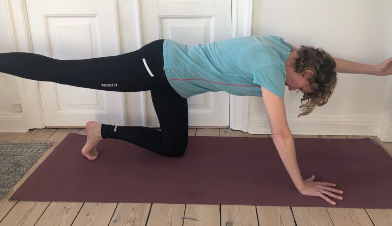 Diskusprolaps og ondt i ryggen - kan du holde din ryg fri? - Lisbeth Degn